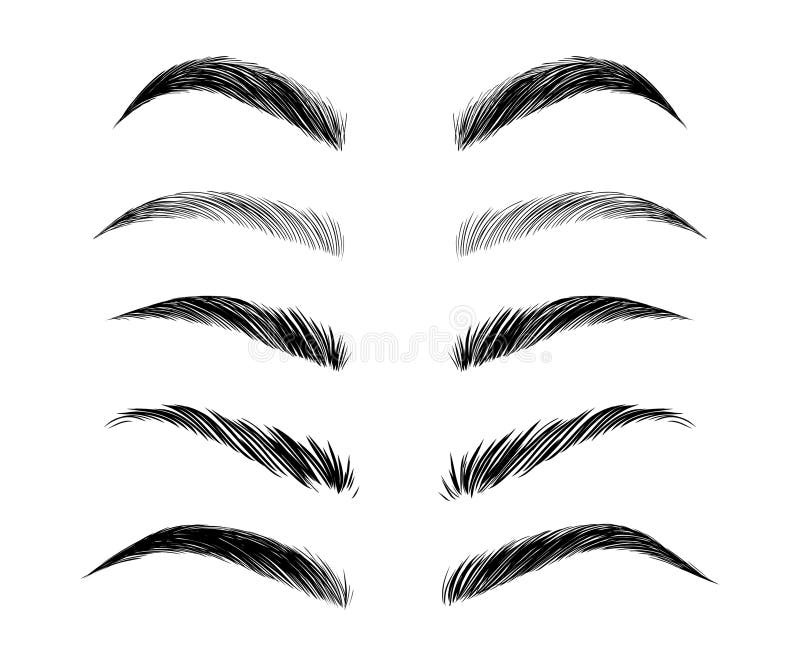 Eyebrows Vector Set. Beauty Collection Female Woman Girl Brows ...