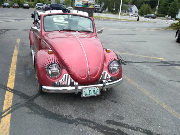 Eyelash bug editorial stock photo. Image of retro, eyelash - 121534653