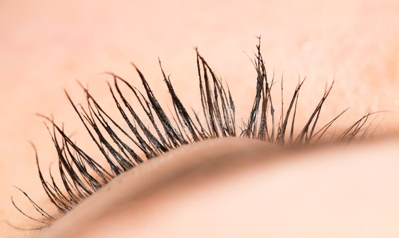 Eyelash Close-up imagem de stock. Imagem de longo, cara - 101376815