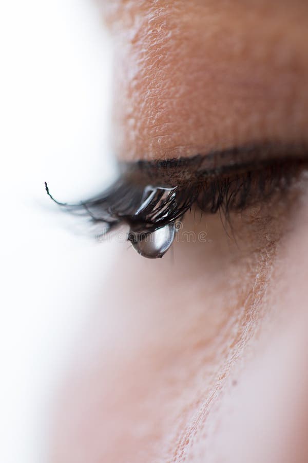Eyelash stock photo. Image of reflection, eyeball, real - 84552244