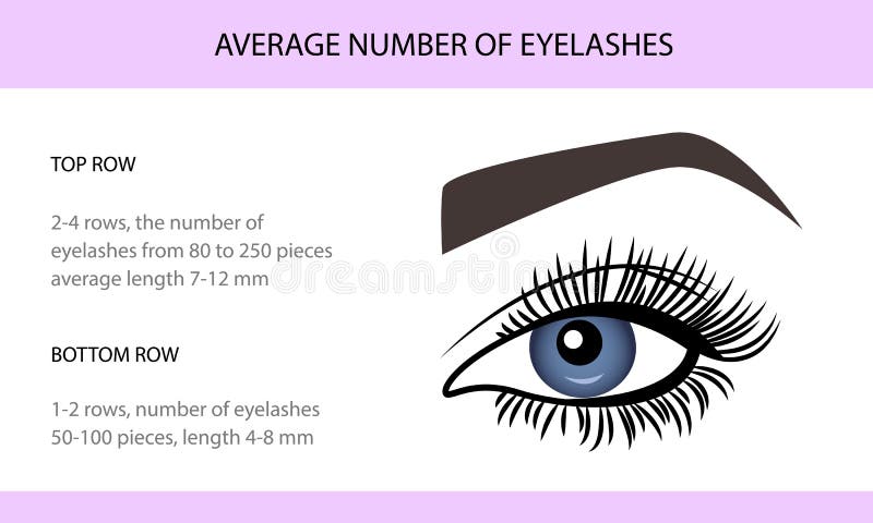 Eyelash Extension Guide. Direction Schemes. Tips and Tricks for Eyelash ...