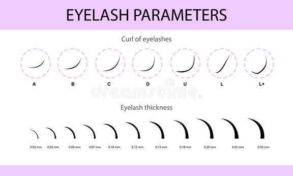 Eyelash Extension Guide. Direction Schemes. Tips and Tricks for Eyelash ...