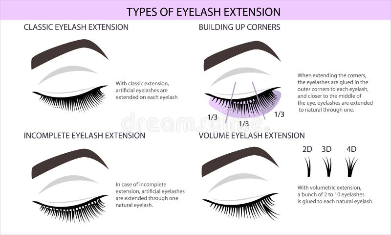 Eyelash Extension Guide. Direction Schemes. Tips and Tricks for Eyelash ...