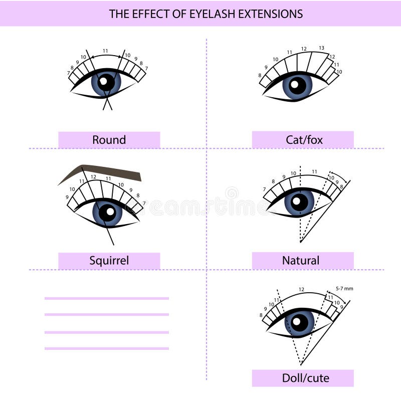 Eyelash Extension Guide. Direction Schemes. Tips And Tricks For Eyelash ...