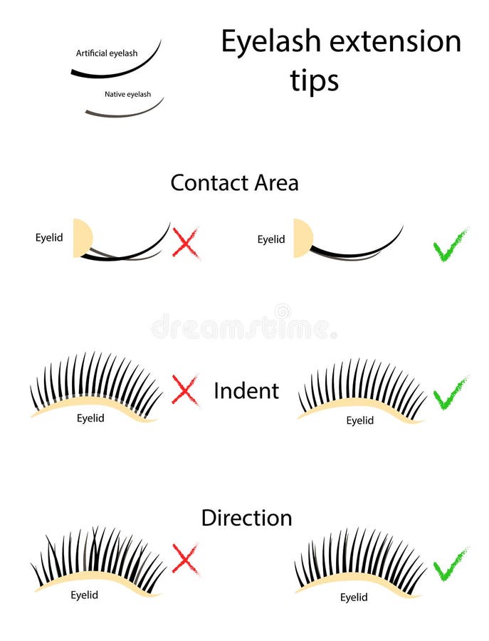 Eyelash Extension Guide. Infographic Vector Illustration Stock Vector ...