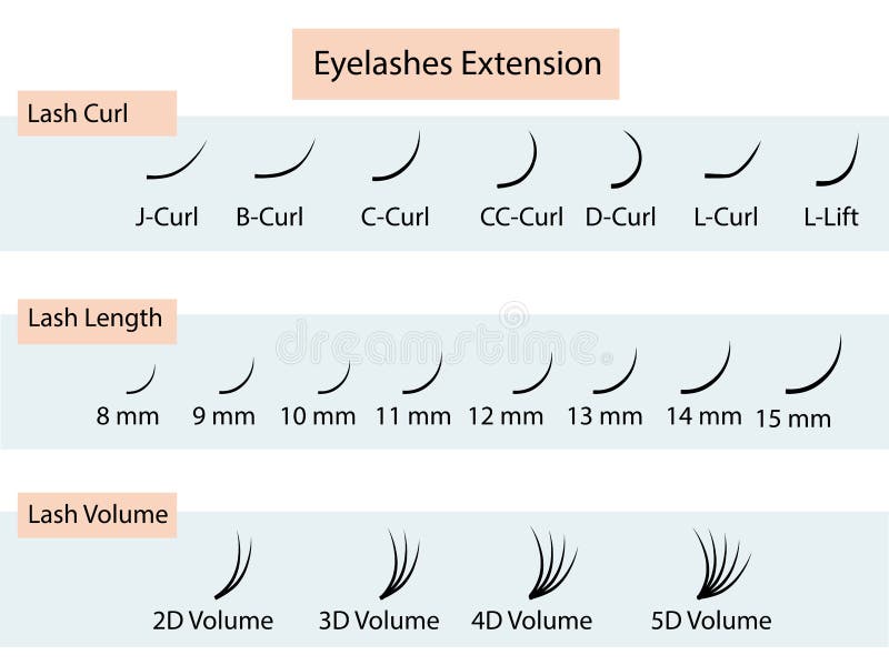 Eyelash Extension Guide. Infographic Vector Illustration Stock Vector ...
