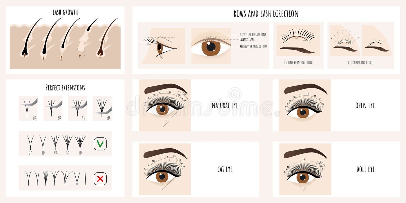 Lash Extensions Stock Illustrations – 1,038 Lash Extensions Stock ...