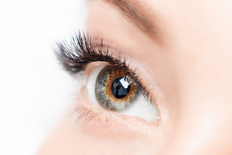 Eyelashes Extensions Procedure in Spa Beauty Salon. Macro Beautiful Eye ...