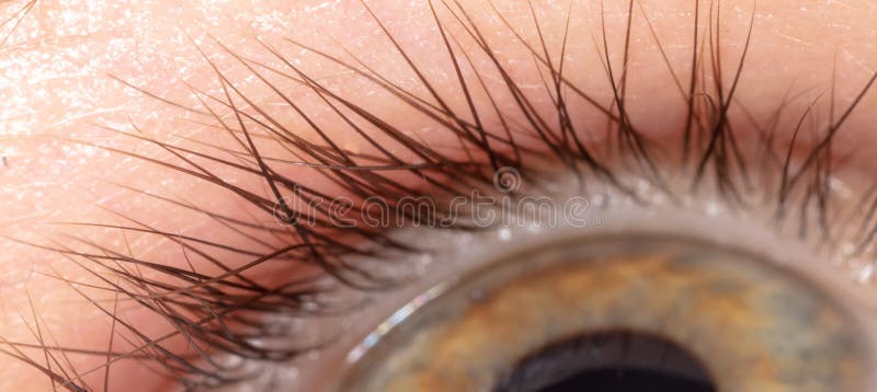 Eyelashes in Front of the Boy, Macro Stock Photo - Image of view, life ...