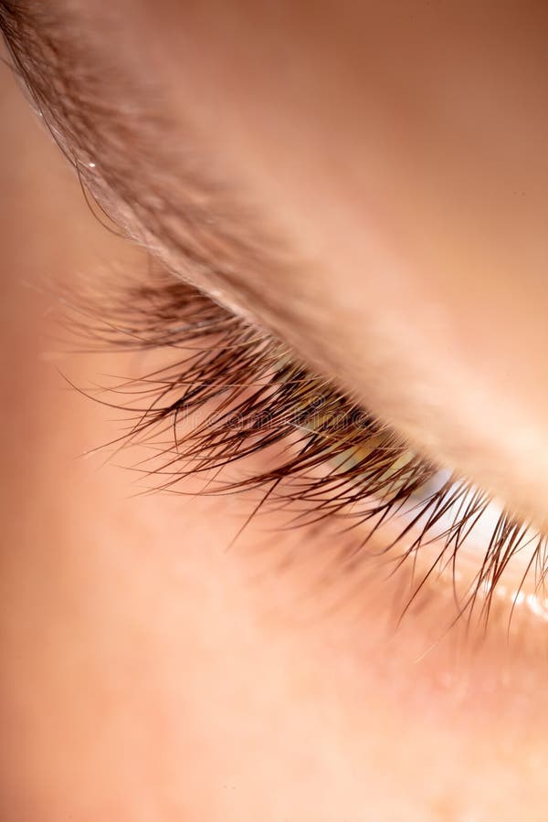 Eyelashes in Front of the Boy, Macro Stock Photo - Image of life, child ...