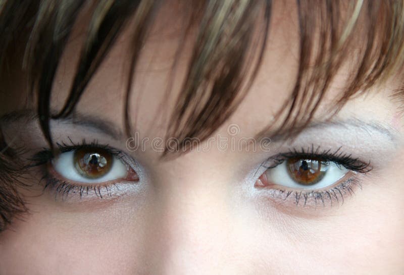 Expressive eyes stock image. Image of look, nose, mixed - 198689