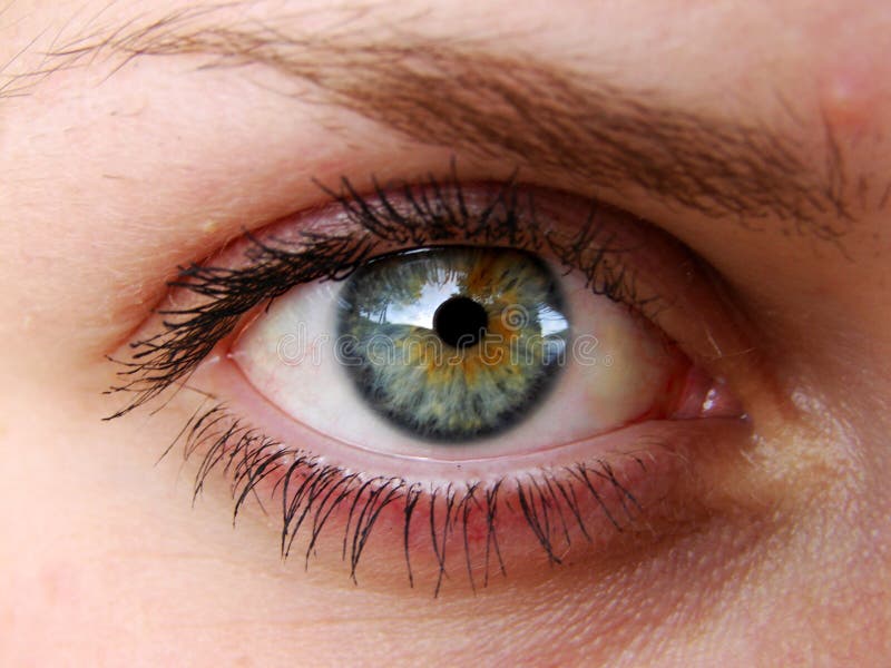 Eyes stock photo. Image of casual, seductive, expression - 4285038