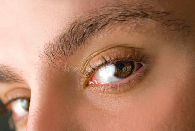 Expressive eyes stock image. Image of look, nose, mixed - 198689