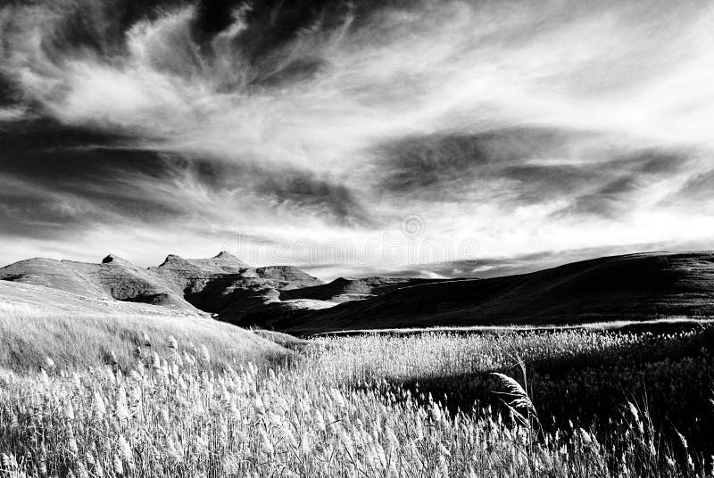 Eyes from above stock photo. Image of meadow, mountains - 65544756