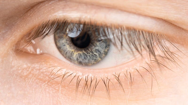 Eyes close-up stock image. Image of child, beautiful - 141584557