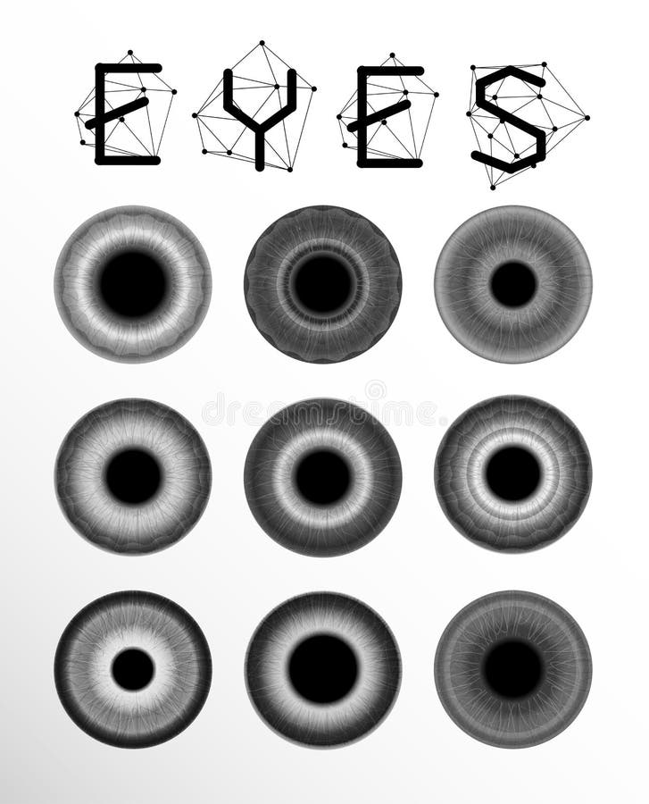 Eyes Collection, Human Pupil Stock Illustration - Illustration of ...