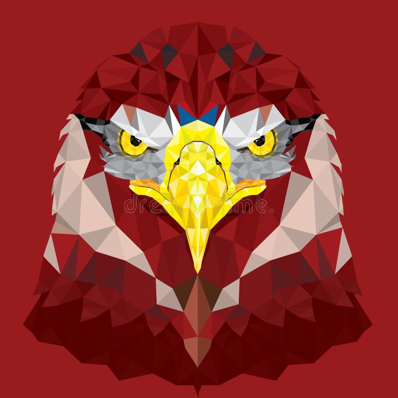 Eyes of Eagle with Geometric Pattern Stock Vector - Illustration of ...