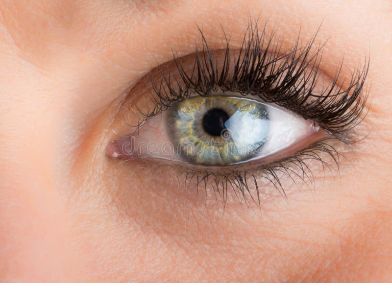 Eyes and long eyelashes stock image. Image of iris, eyeball - 53839867