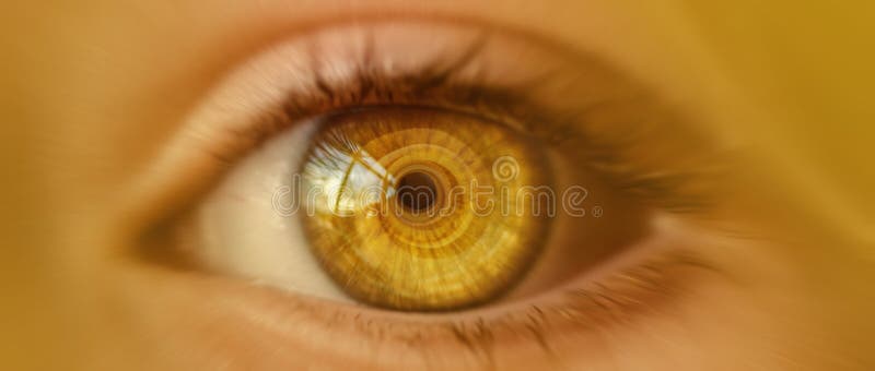 Eyes Look To the Future,focused on Goals,vision Banner Eyes Stock Photo ...