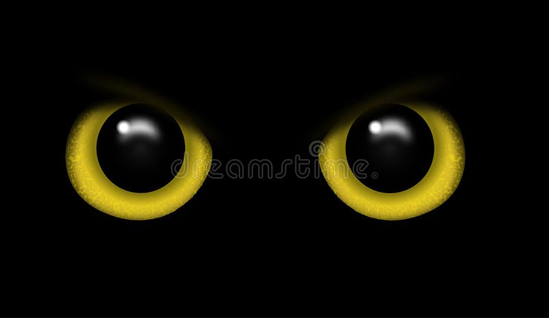 Eyes of a Wild Animal in the Darkness Vector Stock Vector ...