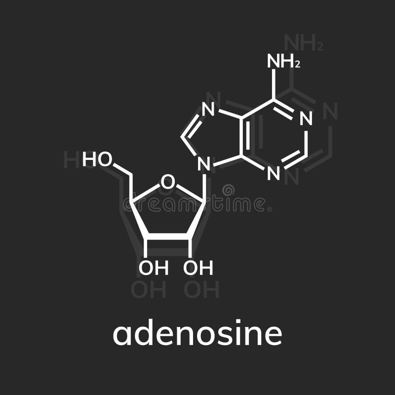Fórmula Química Da Adenosina Ilustração do Vetor - Ilustração de ...