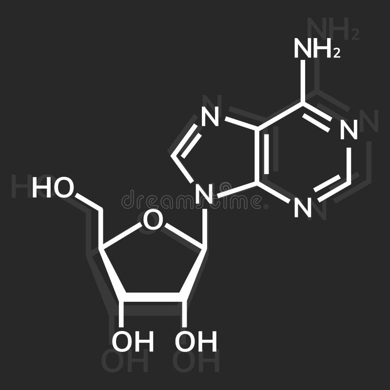 Fórmula Química Da Adenosina Ilustração do Vetor - Ilustração de ...