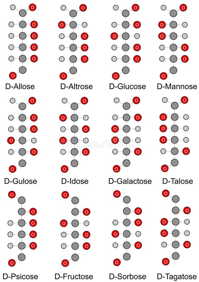 Fórmulas Estructurales De Los Monosacáridos (hexosas) Ilustración del ...