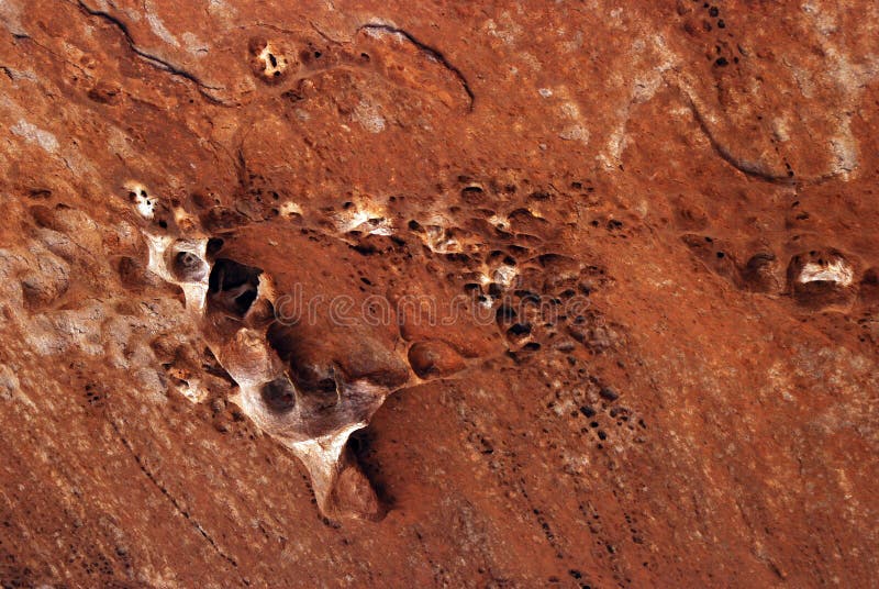 Fósiles en arenisca roja foto editorial. Imagen de arenisca - 10983986