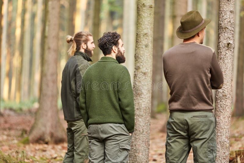 FÃ¶rster Team Looks at Trees in the Forest District Stock Image - Image ...