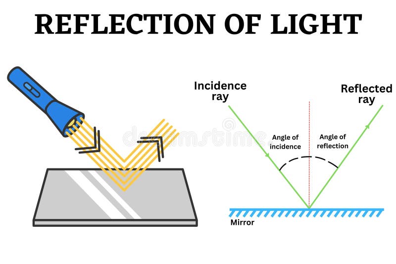 Reflection of Light Reflection from Mirror Physics Science Infographic ...