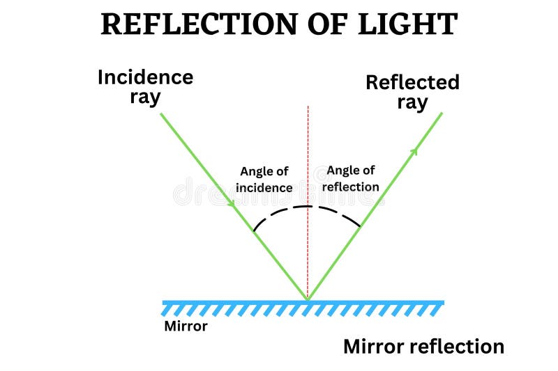 Reflection of Light Reflection from Mirror Infographic Diagram Vector ...
