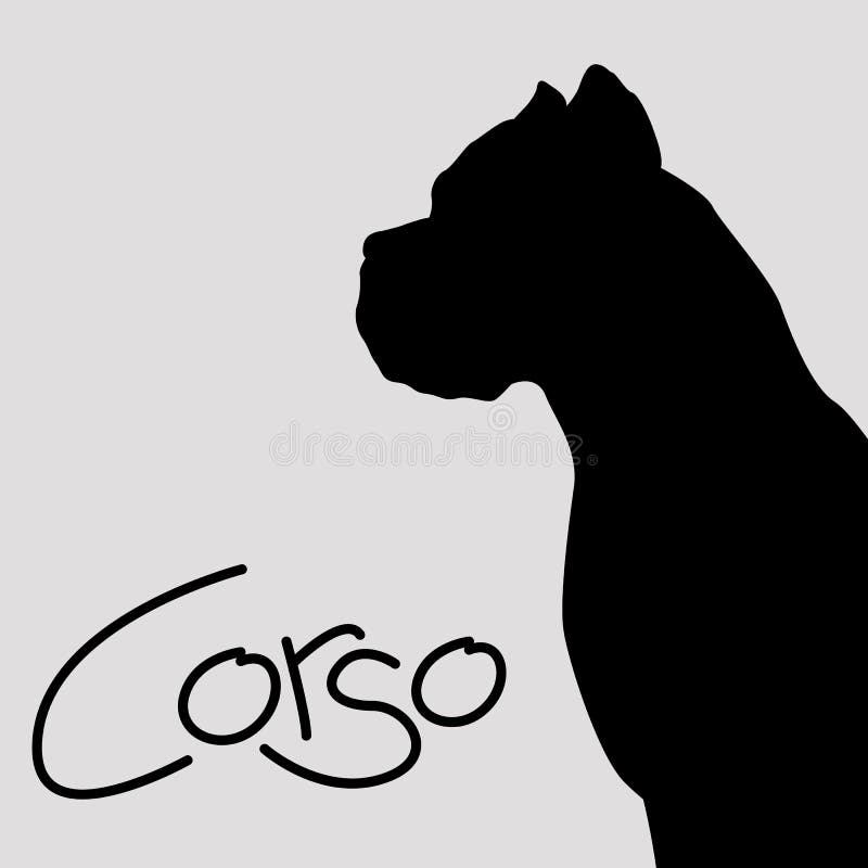 Italian Cane Corso Dog Logo Stock Vector - Illustration of handsome ...