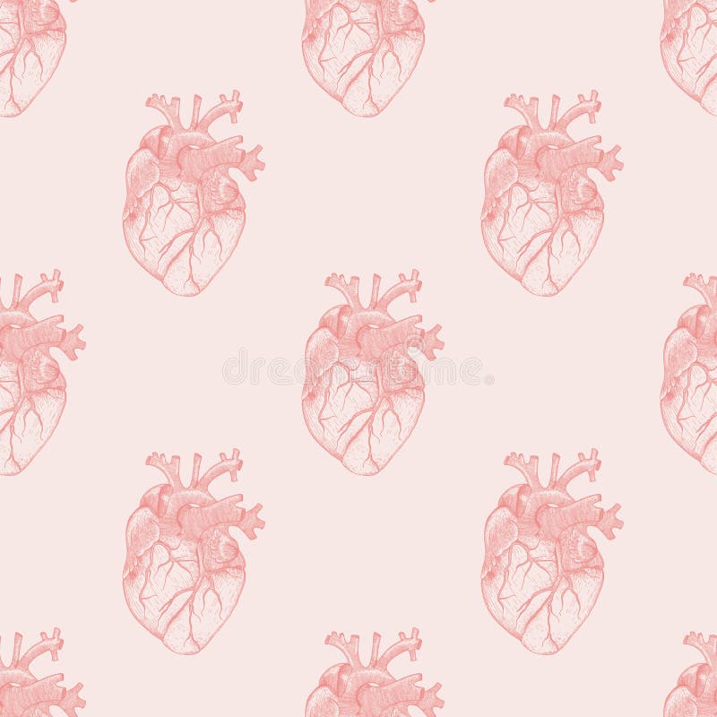 Seamless Pattern with Realistic Heart . Anatomy Organ Illustration for ...