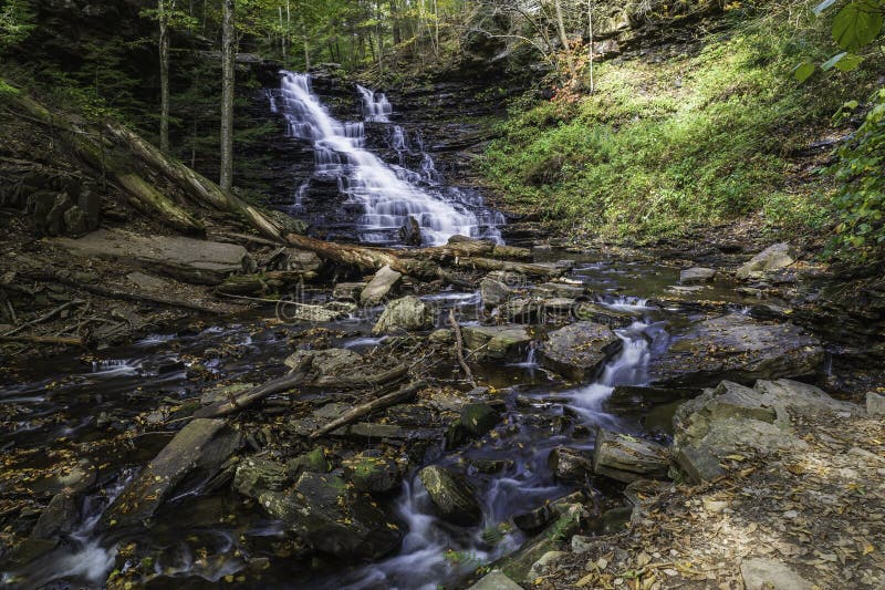 F.L stock photo. Image of poconos, rock, forest, leaf - 293583562