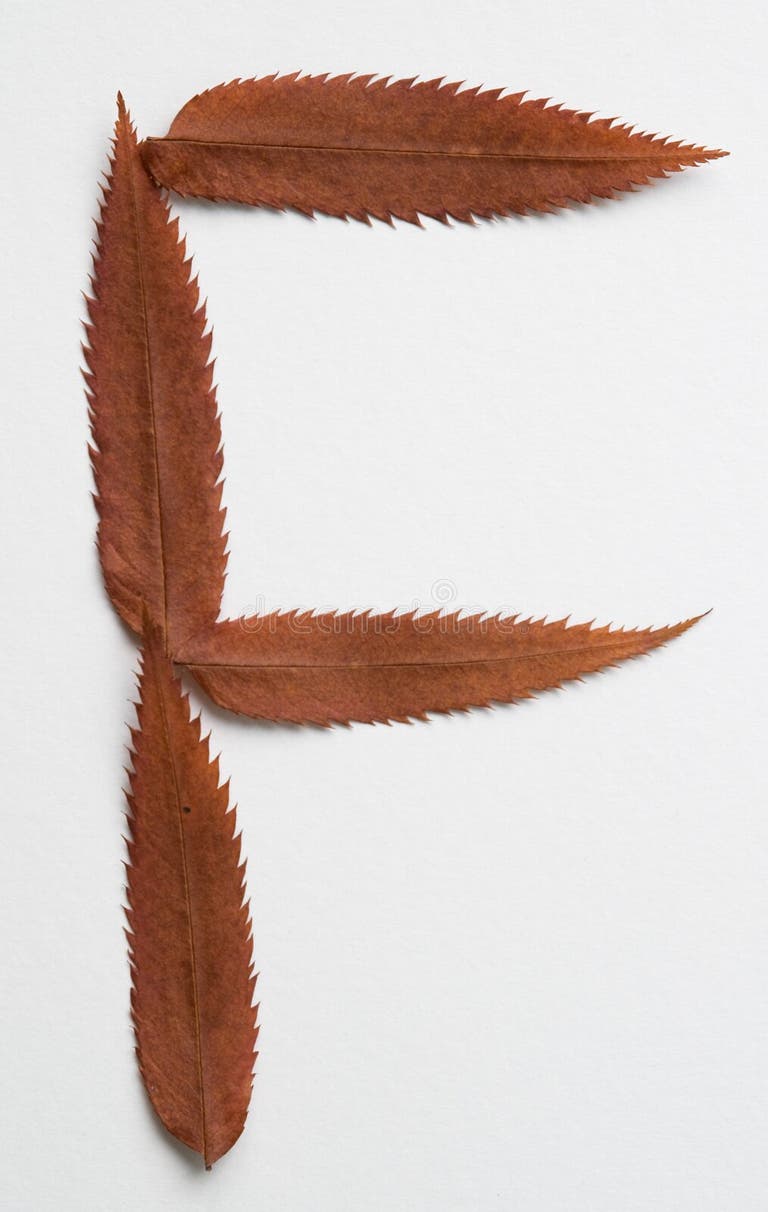 Plain Font Letter Stock Illustrations – 3,237 Plain Font Letter Stock ...