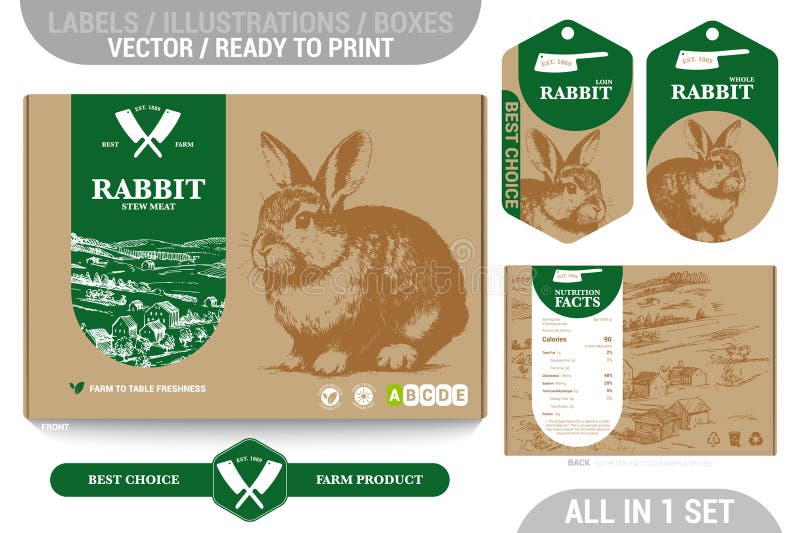 Rabbit Cut of Meat . Butcher Diagram, Scheme Stock Illustration ...