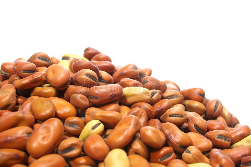 Faba fava beans stock photo. Image of fruit, fresh, cook - 13843344