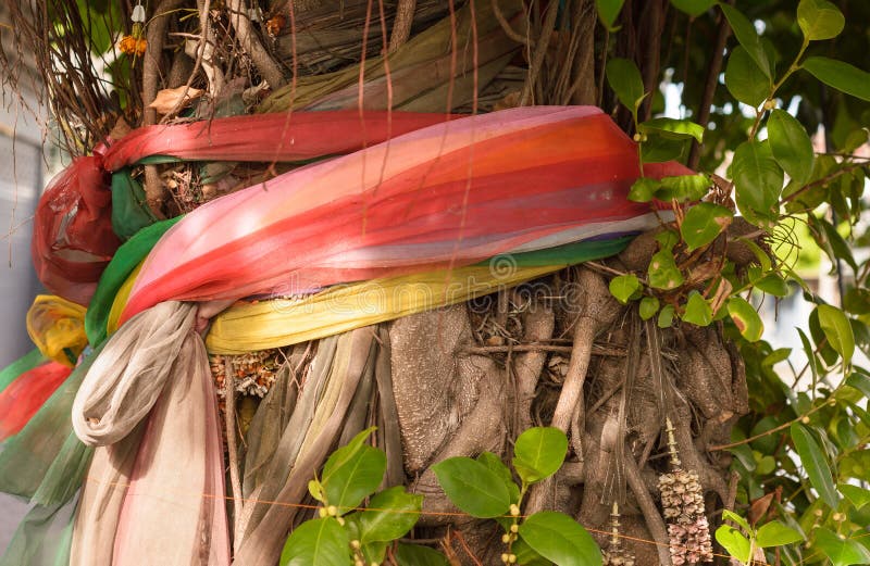 Fabric around tree stock photo. Image of fresh, religion - 62996352