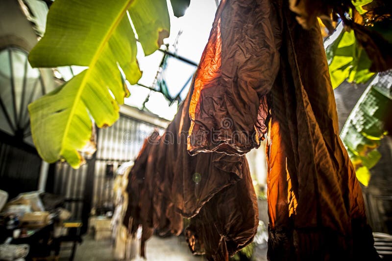 Fabric Dyeing Process with Traditional Method and with Natural Colors ...