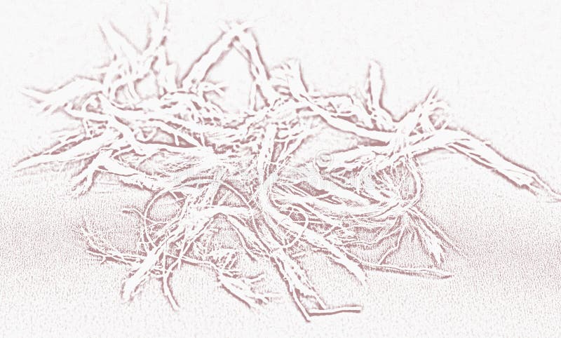 Outlines of fabric frays stock photo. Image of synthetic - 232082584