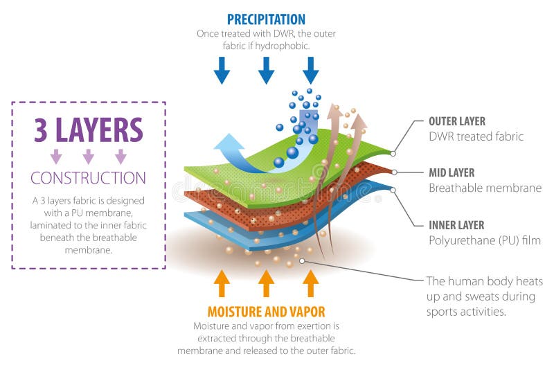 Fabric layers stock vector. Illustration of sports, comercial - 212213638