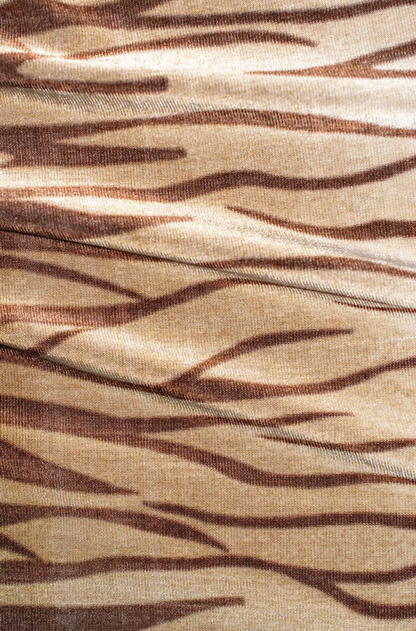 Fabric with the Pattern of a Bengal Tiger Stock Photo - Image of exotic ...