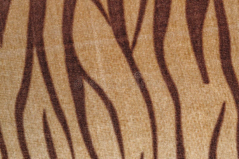 Fabric with the Pattern of a Bengal Tiger Stock Image - Image of asia ...
