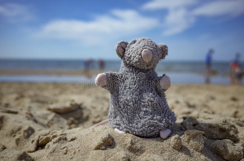 Fabric rat at the beach stock photo. Image of fluffy - 328958298