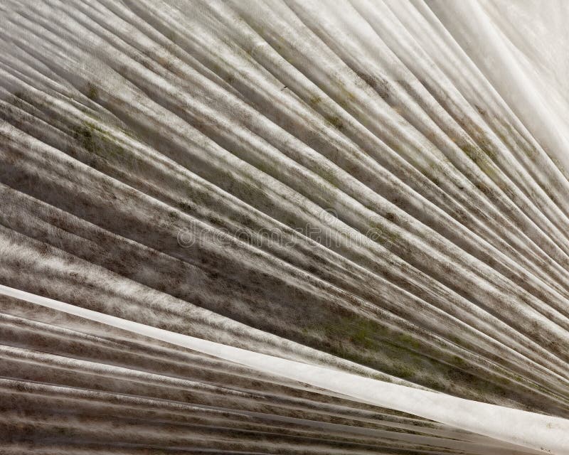 Fabric Texture stock image. Image of grey, stretched - 36814005