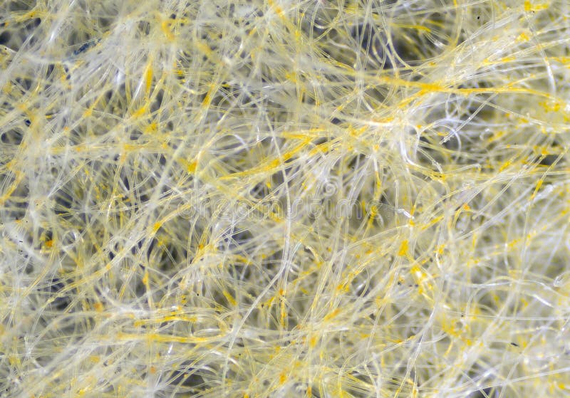 Fabric Under the Microscope. Stock Photo - Image of soft, synthetic ...