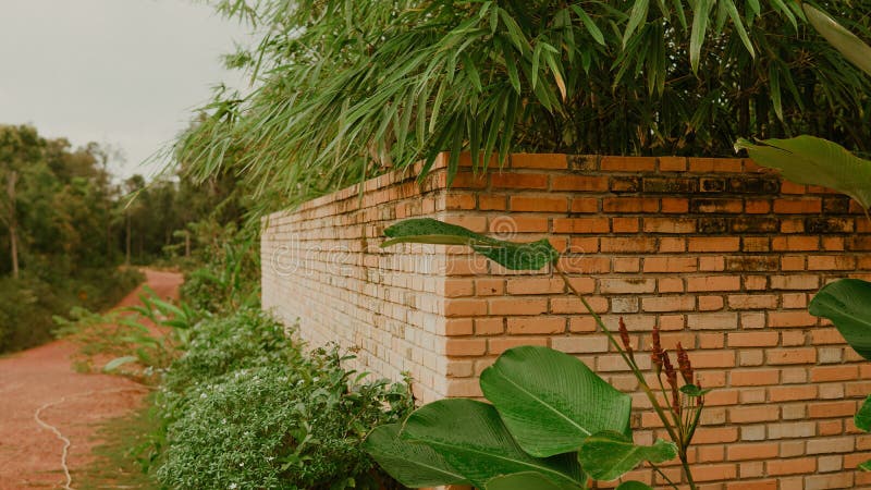 Fabulos Corner of Brick Wall Stock Photo - Image of corner, trees ...