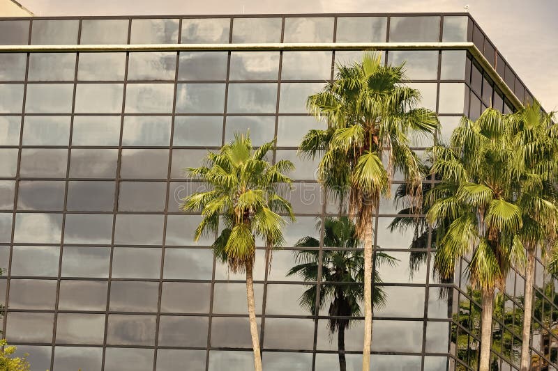 Facade Building Architecture with Palm Trees. Exterior Building ...