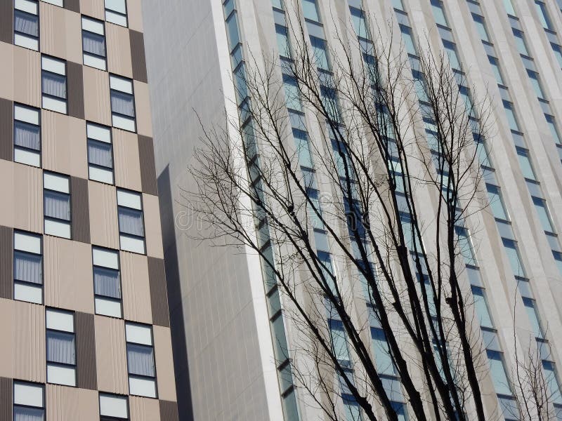 Facade of a Building High Angle View Stock Image - Image of windows ...