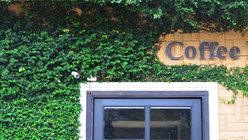 Facade of Coffee Shop with Climber and CCTV Camera Stock Image - Image ...